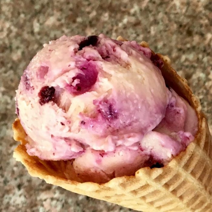 Recipe: Banana Blueberry Frozen Delight by Khashayar Parsi – Happiness ...