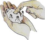 Big Dog Fun by Thomas Wikman + My Library Prizes + Podcast – Happiness ...